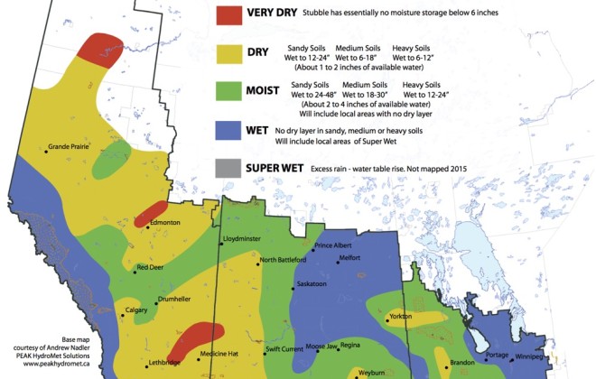 Diagnosing your own sodic soils | Grainews