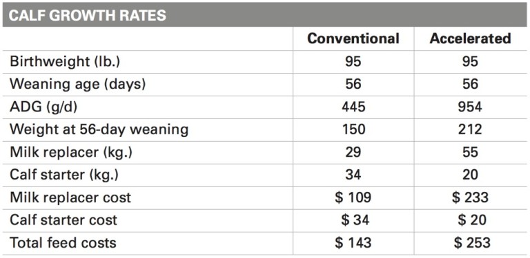 Achieving Double Birthweight in Dairy Calves by Weaning
