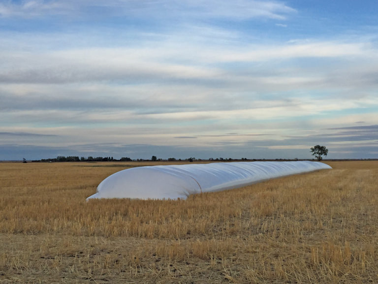 Get the most from your grain bags - Grainews