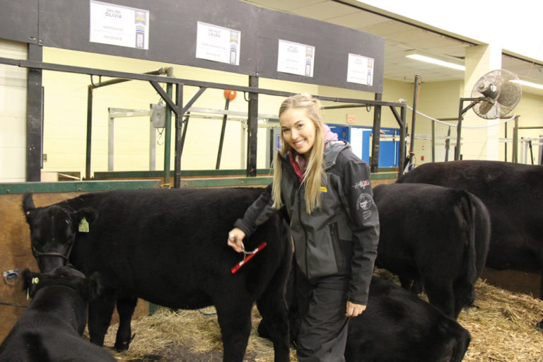 Trich test — make sure bulls are clean - Grainews
