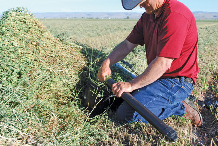 Simple tool improves hay moisture test - Grainews
