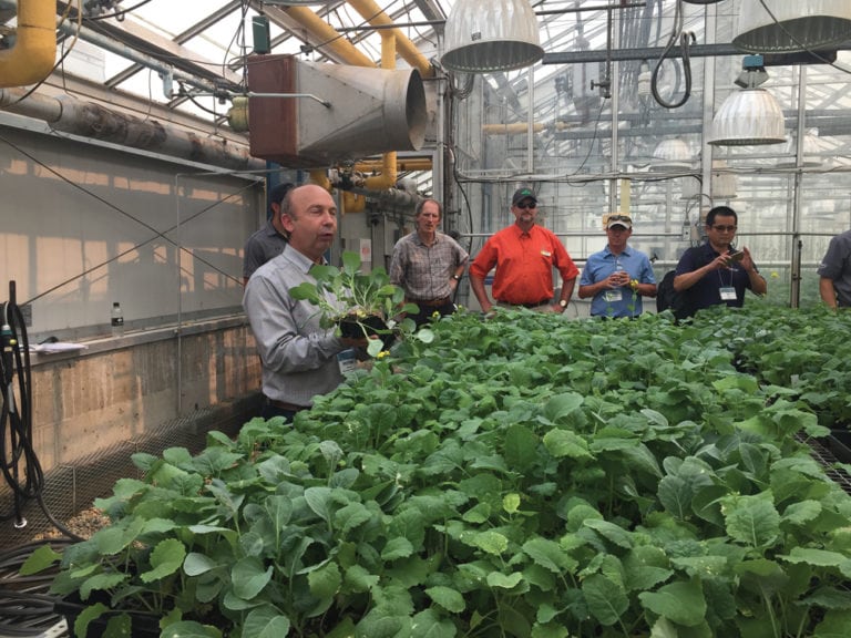 Farming your marginal land - Grainews