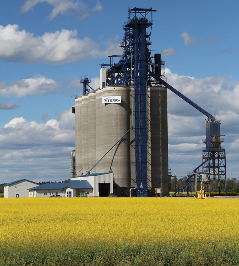 Seeding canola with a corn planter