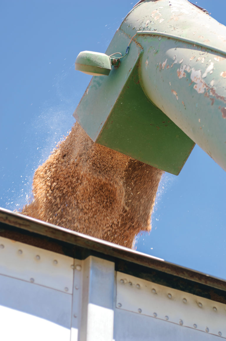Auger, sweep, vac and extractor safety - Grainews