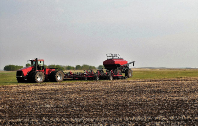 New corn varieties for 2020 | Grainews