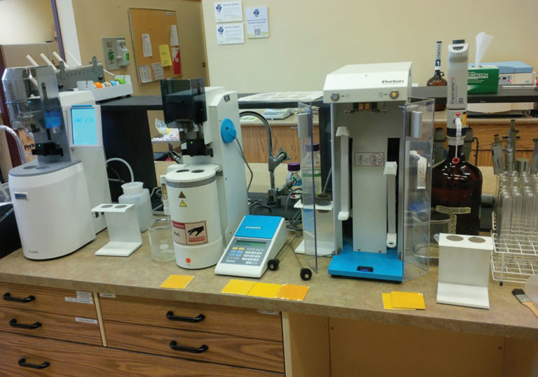 Four ways to avoid low falling numbers in grains - Grainews