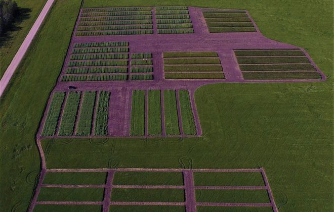 New lab offers plant sap analysis | Grainews