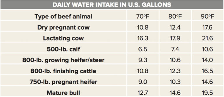 Do you know what’s swimming in your livestock water? - Grainews