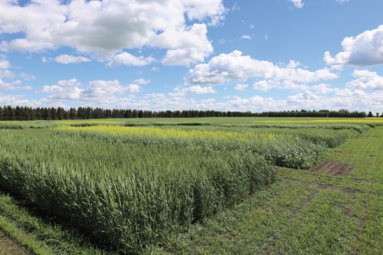 A new approach provides evidence to support the benefits of diversified ...