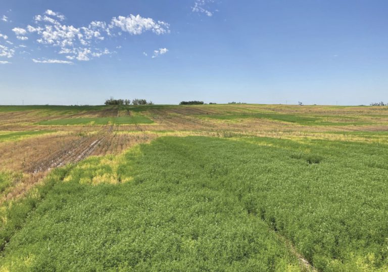 Torque Rise Explained - Grainews