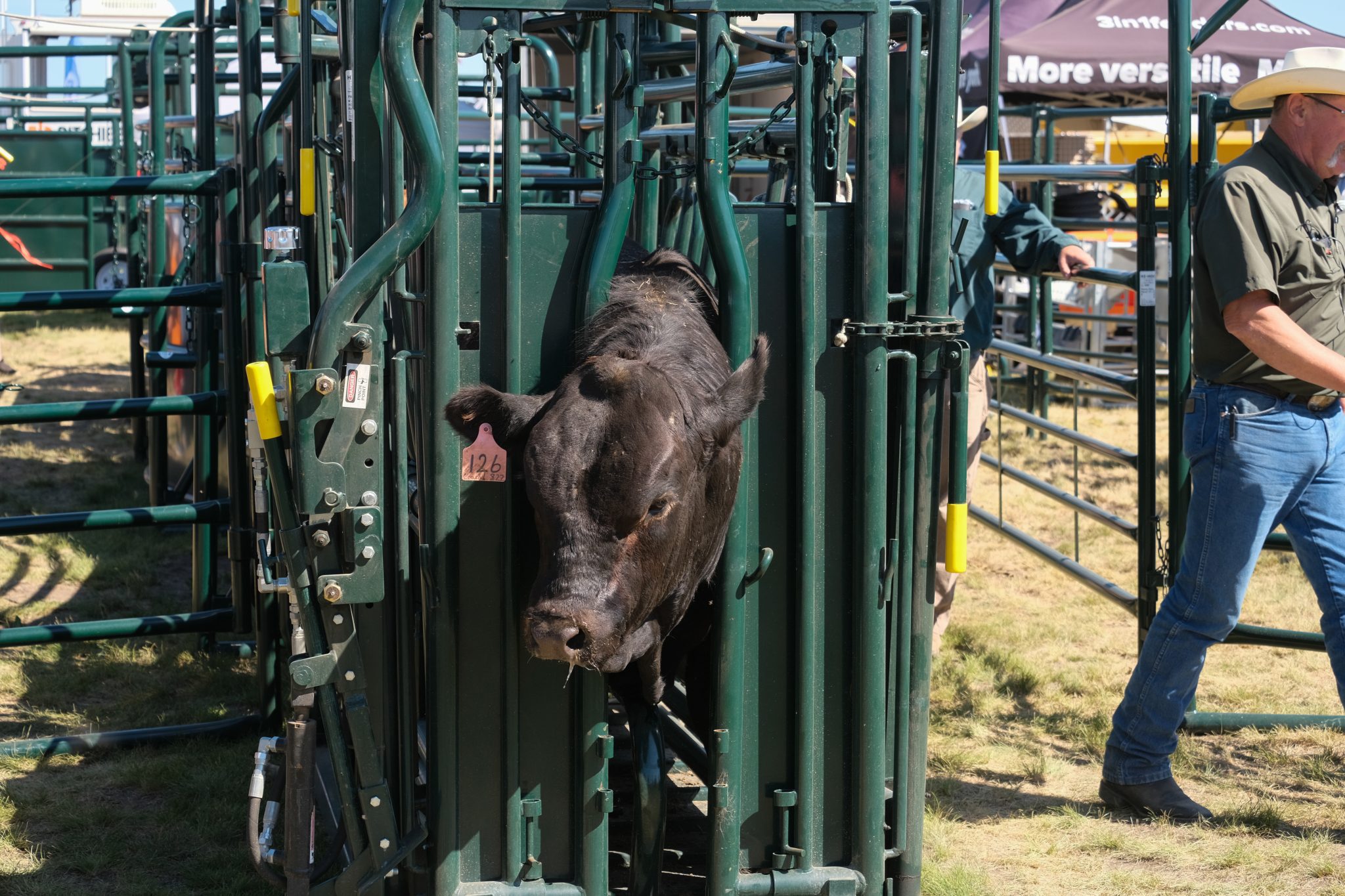 The one-handed, sub-Q method for cattle injections