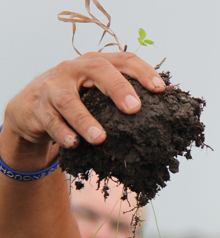 Sask. farmer's soil health approach results in 'soil armour' - Grainews