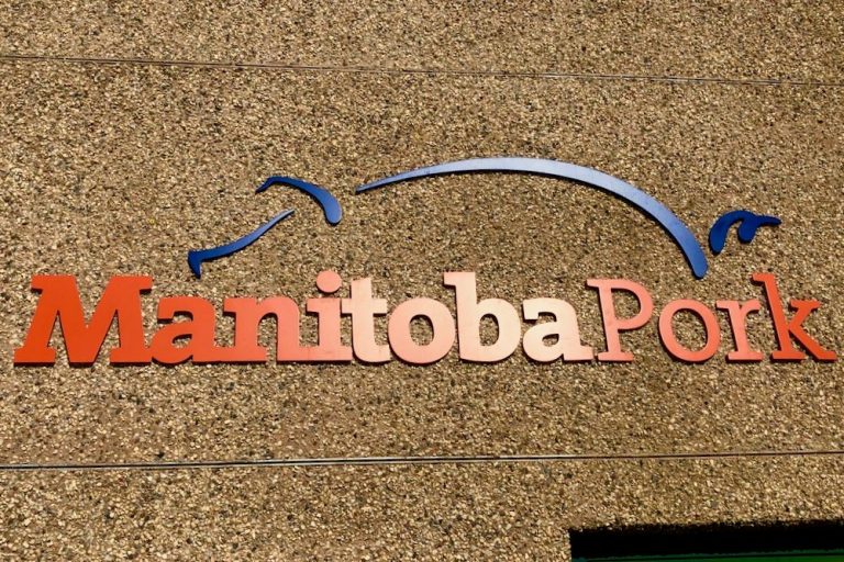 Manitoba pork industry grows despite 'uncertainty' - Grainews