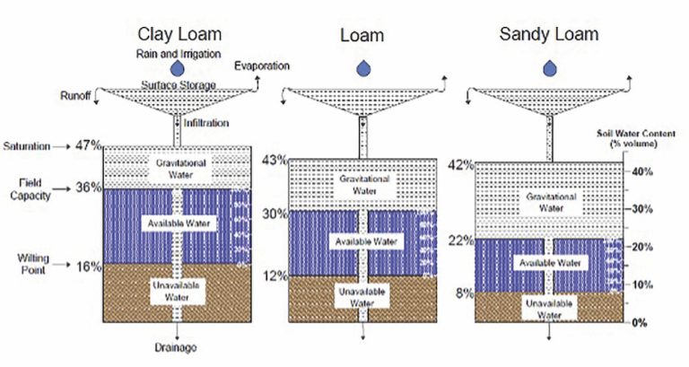 How to understand and measure soil water - Grainews
