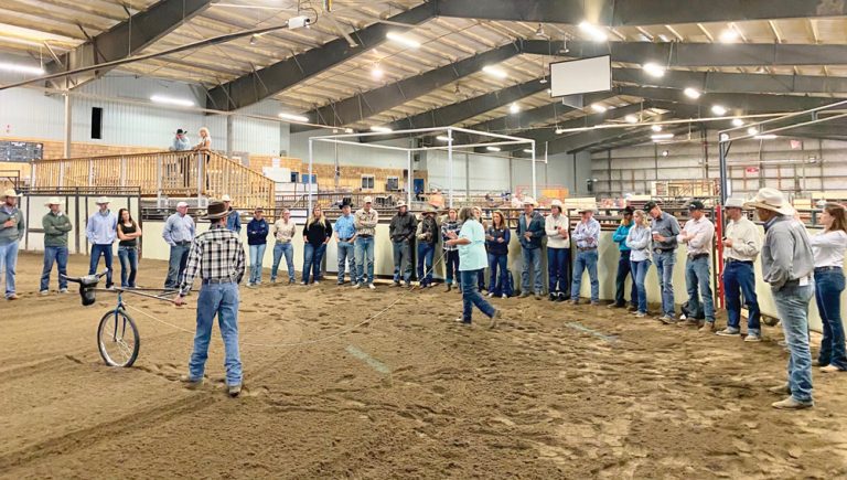 Cowboy competitions - Grainews