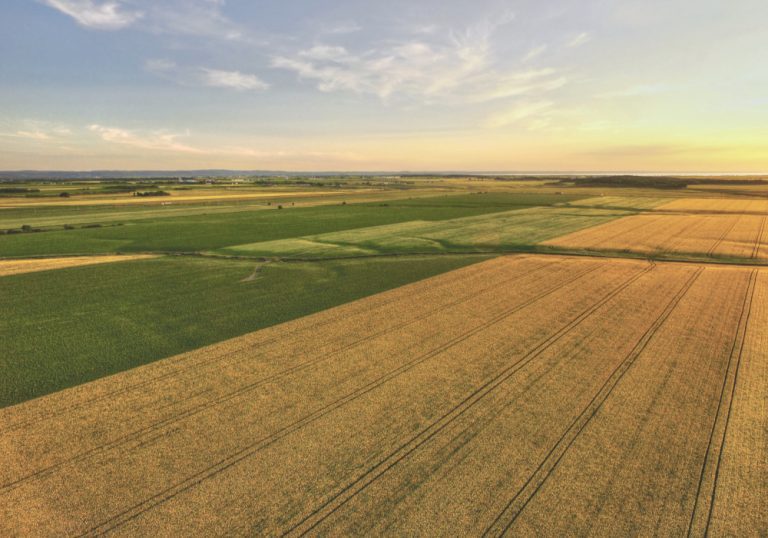 Understanding biological crop inputs - Grainews