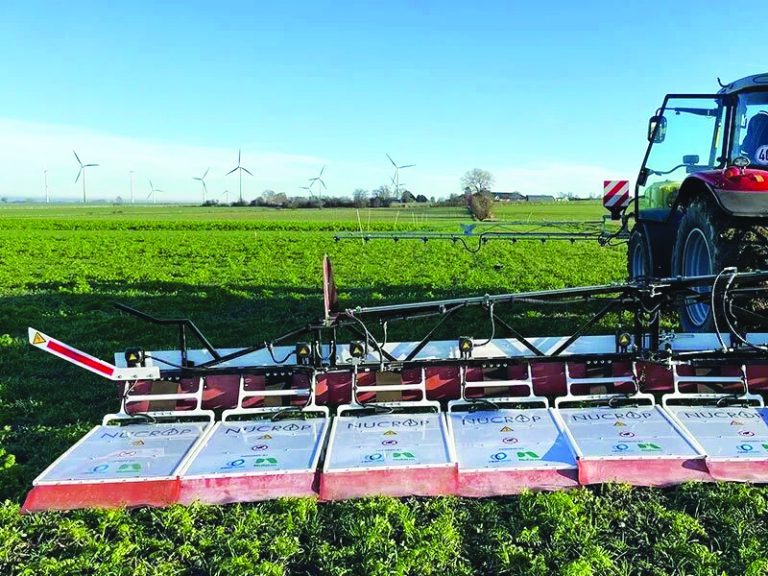 Pre-spraying boosts effectiveness of electric weed-killing machine ...