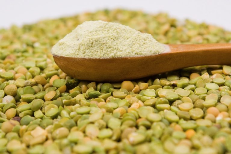 Protein processing more efficient with lower-protein peas - Grainews