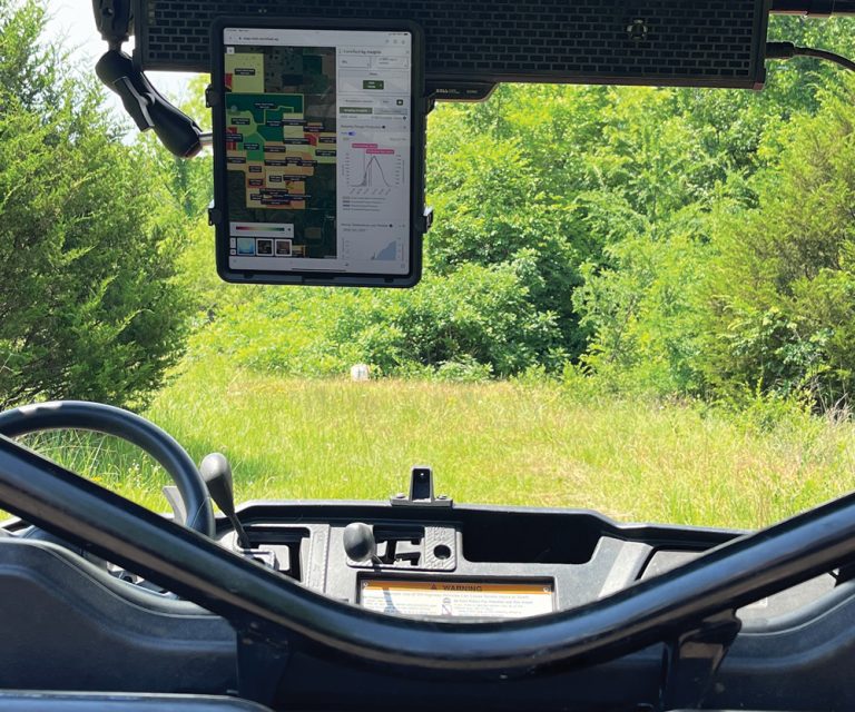 Understanding the cause and prevention of peritonitis in cattle