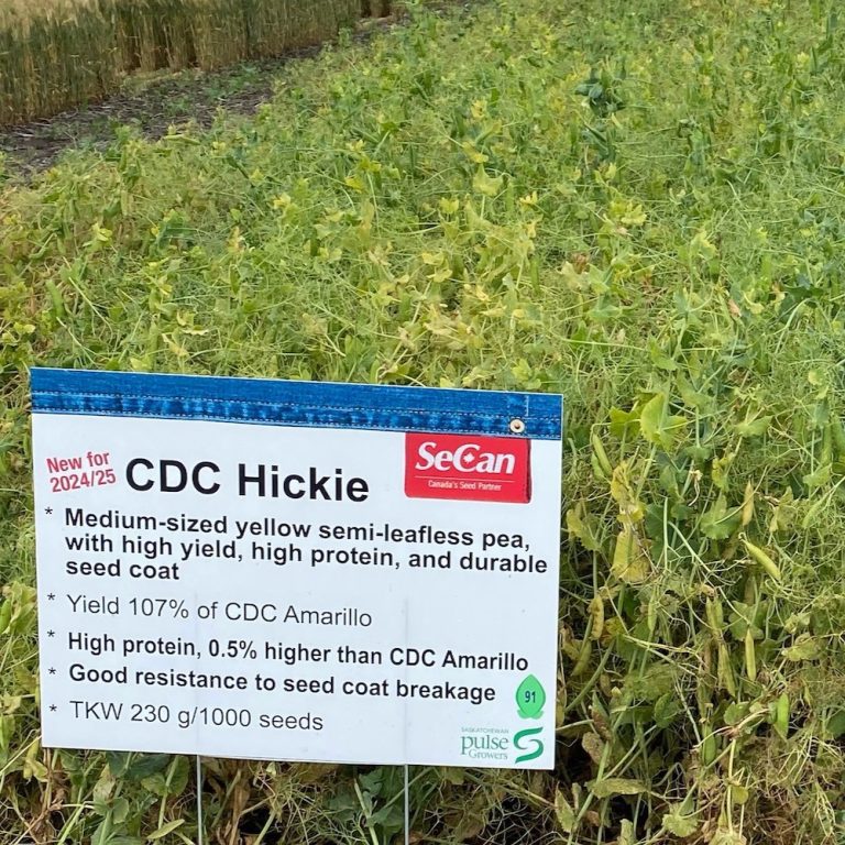 New pulses pending for 2025 - Grainews