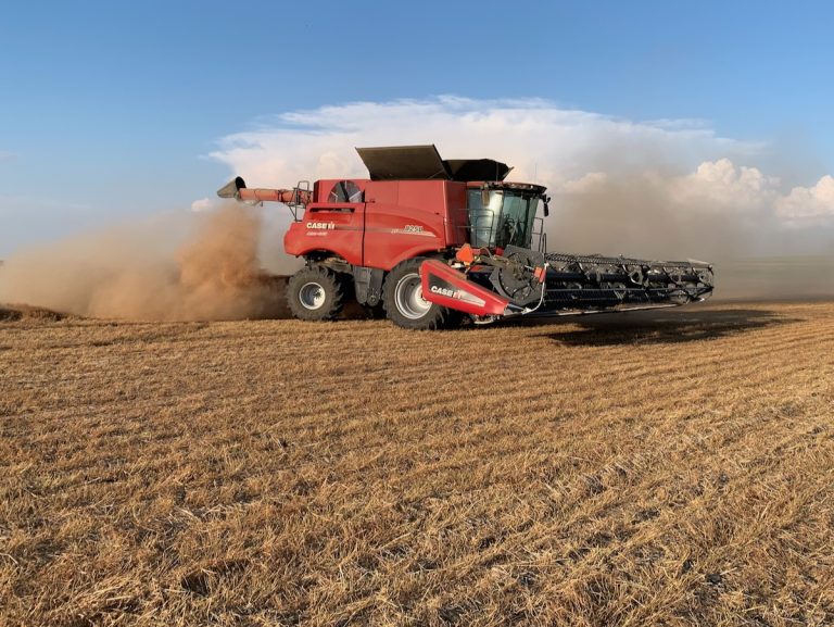 Avadex back in the game to fight herbicide resistant weeds