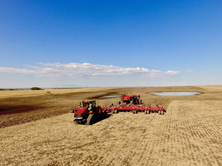 Case IH unveils its new giant: the 785 Steiger Quadtrac - Grainews