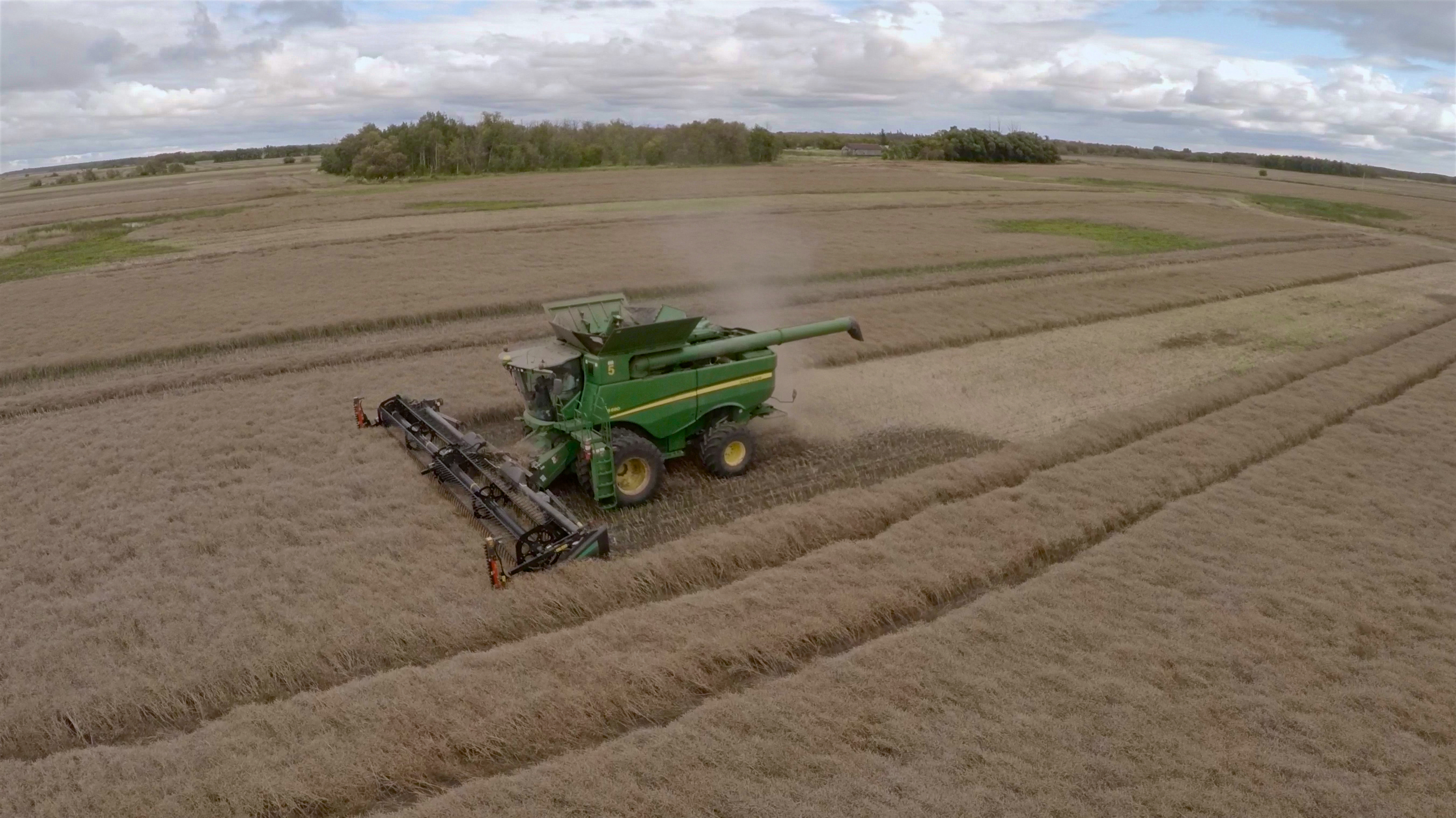 What does the future hold for the swather? - Grainews